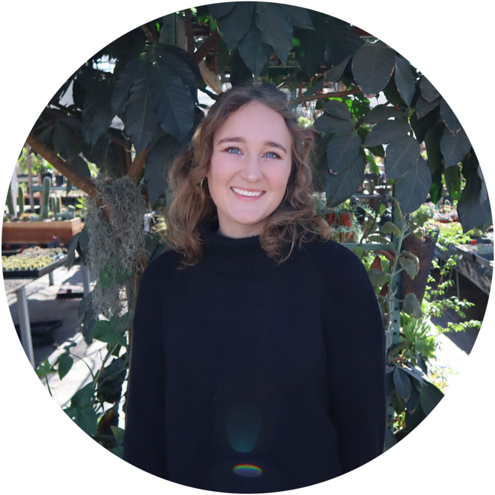 Start - Chestnut Hill Baptist Church